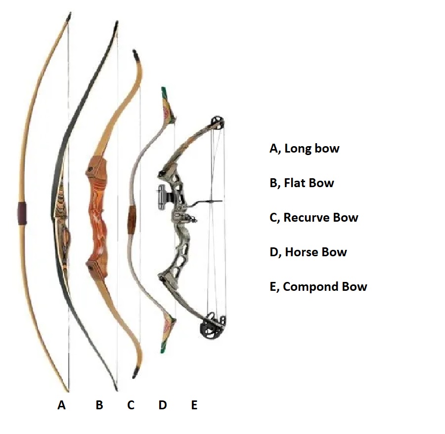Archery bow store